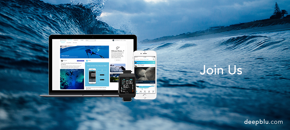 Deepblu－最新職缺徵才中｜Yourator 新創・數位人才求職平台｜找工作、求職、徵才