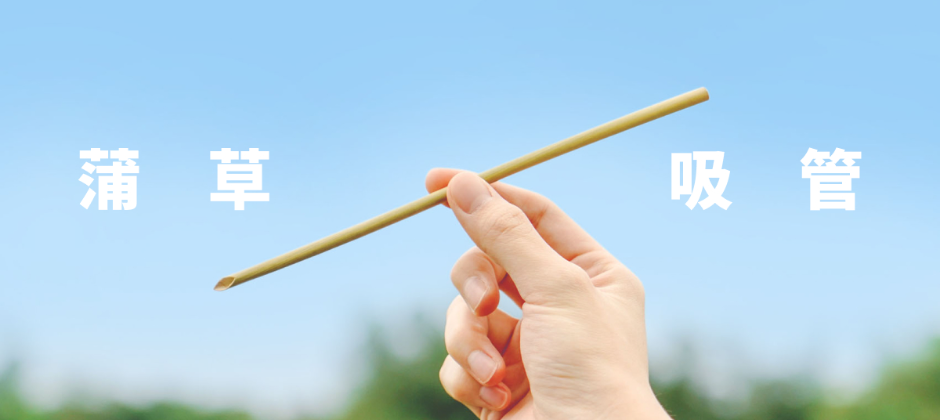 玩艸植造 Wondergreener－最新職缺徵才中｜Yourator 新創・數位人才求職平台｜找工作、求職、徵才